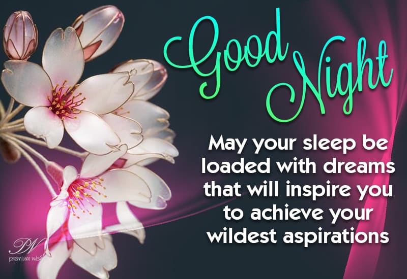 Good Night - May your sleep be loaded with dreams that will inspire you ...