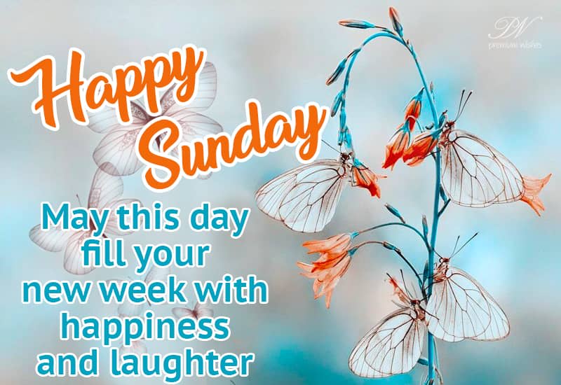 Happy Sunday - May this day fill your new week with happiness and ...