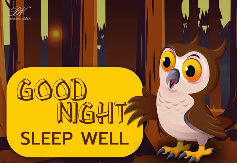 Good Night - Be Safe Keep Your Spirits High and Sleep Well - Premium Wishes