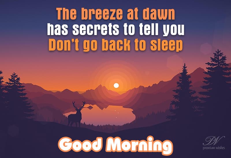 The breeze at dawn has secrets to tell you. Do not go back to sleep ...