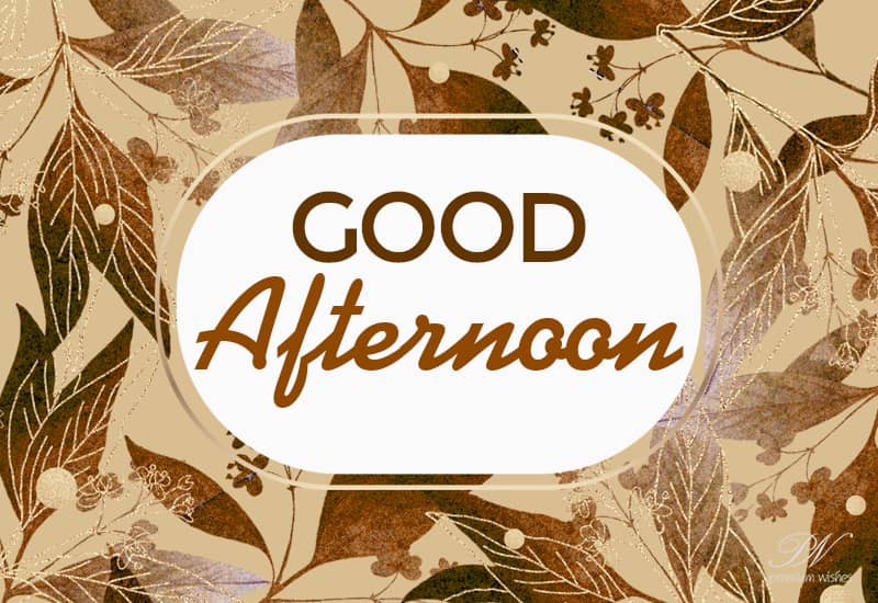 Good Afternoon - Have a blessed and happy afternoon - Premium Wishes