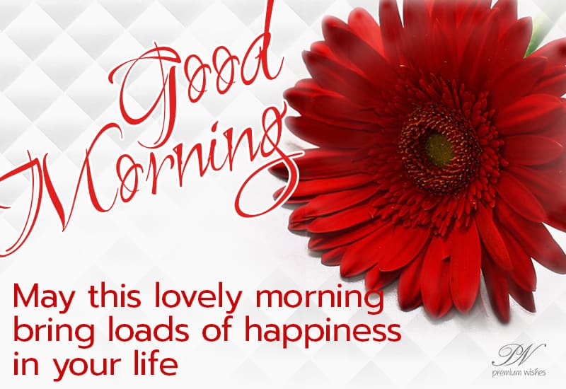 Good Morning - May this lovely morning bring loads of happiness in your ...