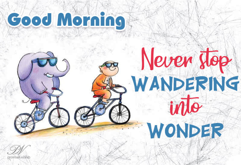 Good Morning - Never stop wandering into Wonder - Premium Wishes