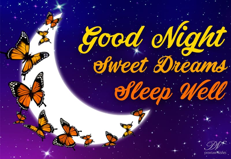 Good Night - Sweet Dreams - Sleep Well - Premium Wishes