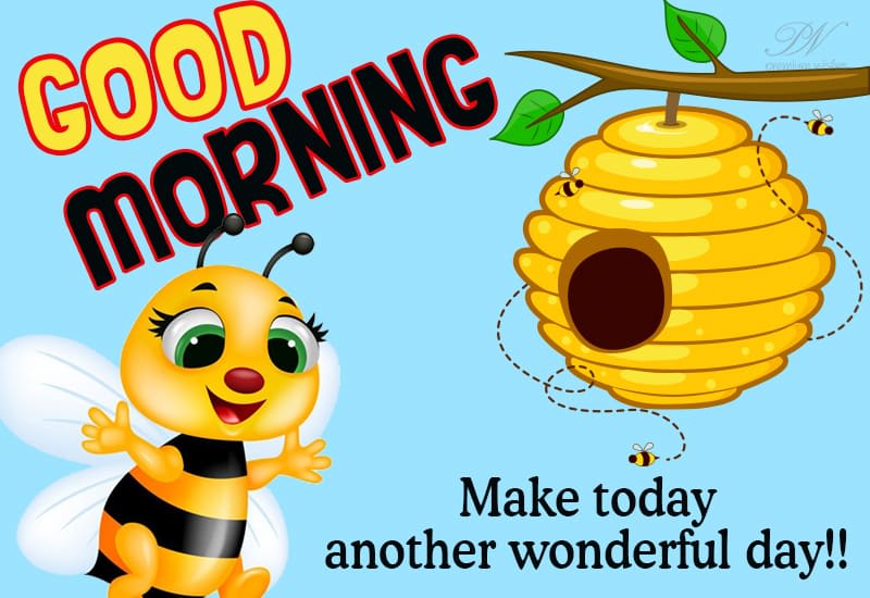 Good Morning - Make today another wonderful day - Premium Wishes