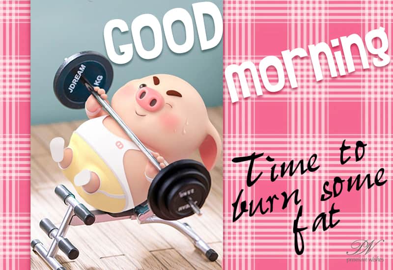 Good Night Stars In the Sky - Premium Wishes