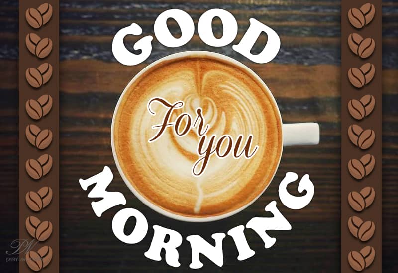 Good Morning - For You - Wishing you a great day ahead - Premium Wishes