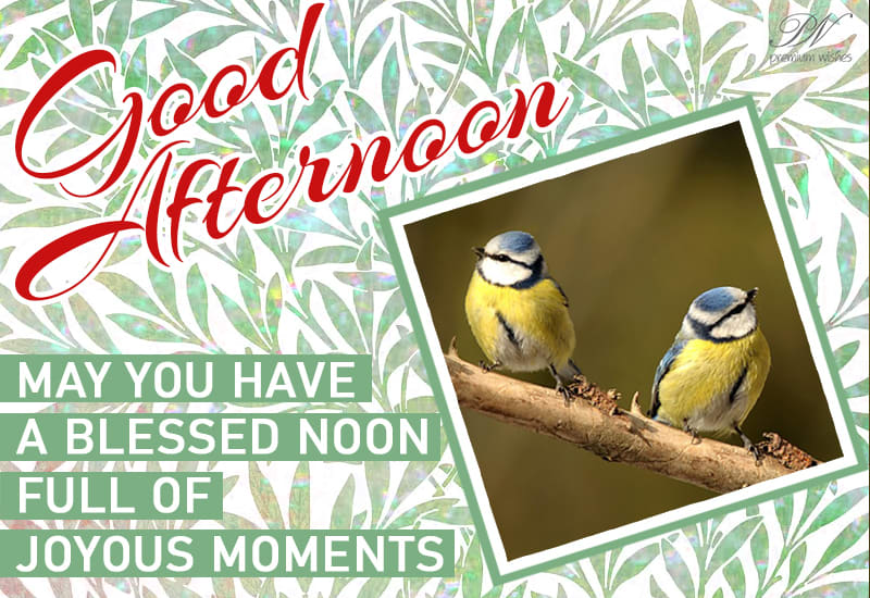 Good Afternoon - May you have a blessed noon full of joyous moments ...