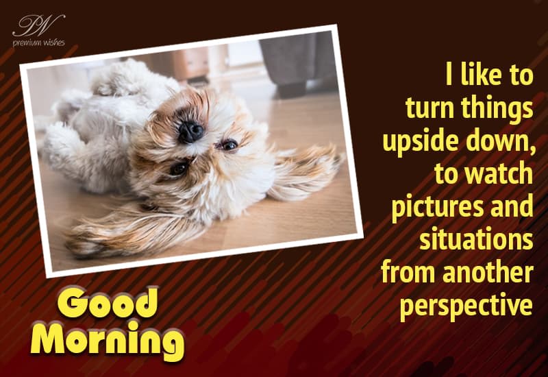 Good Morning Wishes – Premium Wishes