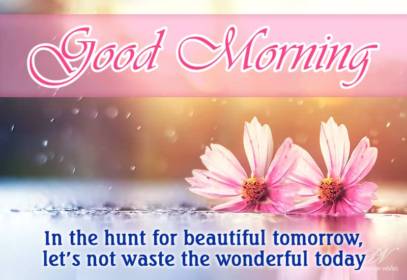 Simply Good Morning - Page 8 of 73 - Premium Wishes