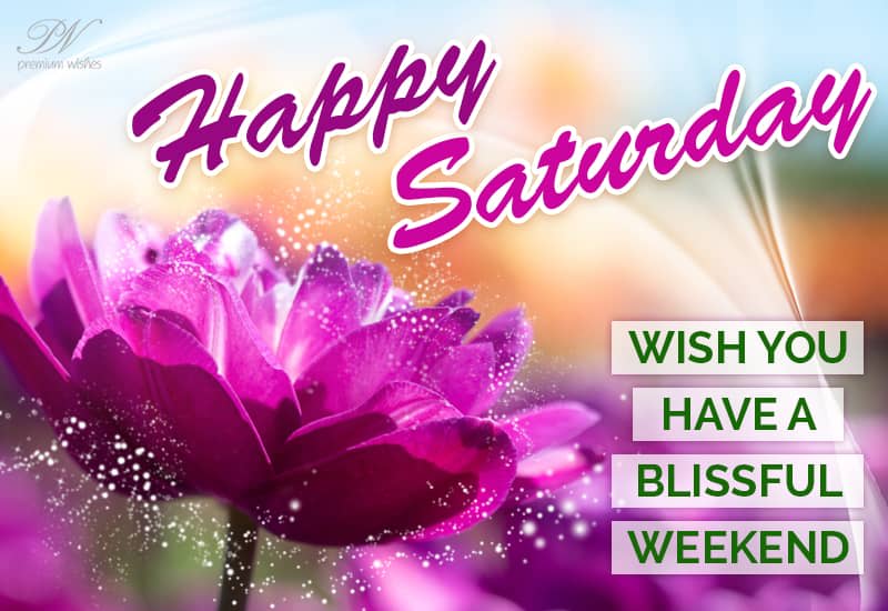 Happy Saturday - Wish you have a blissful weekend - Premium Wishes