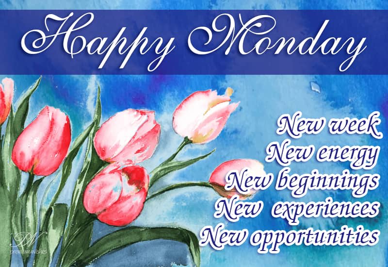 Happy Monday - New week, new energy, new beginnings new experiences new ...