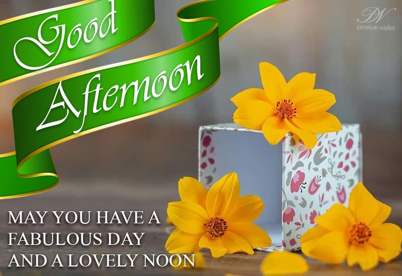 Good Afternoon - May you have a fabulous day and lovely noon - Premium ...