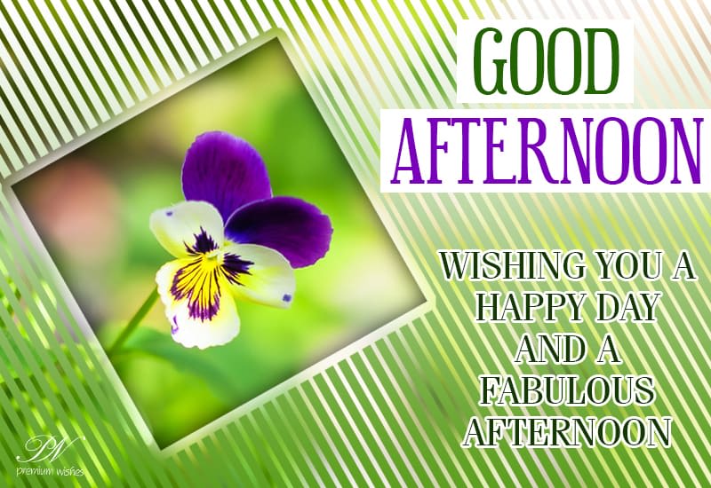 Good Afternoon - Wishing you a happy day and a fabulous afternoon ...