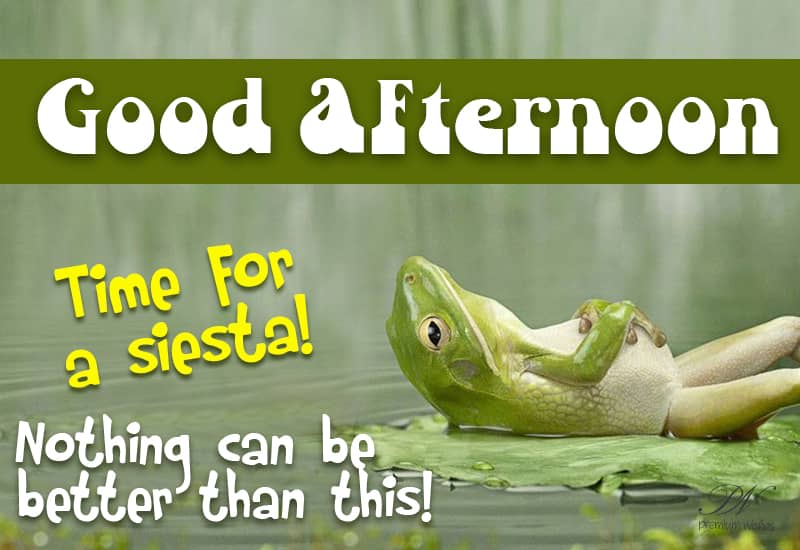 Good Afternoon - Time for a siesta - Nothing can be better than this ...