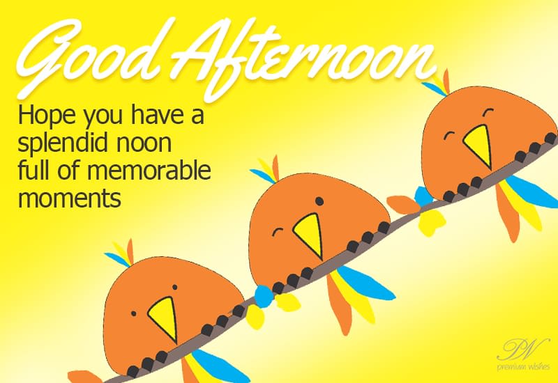 Good Afternoon - Hope you have splendid noon full of memorable moments ...