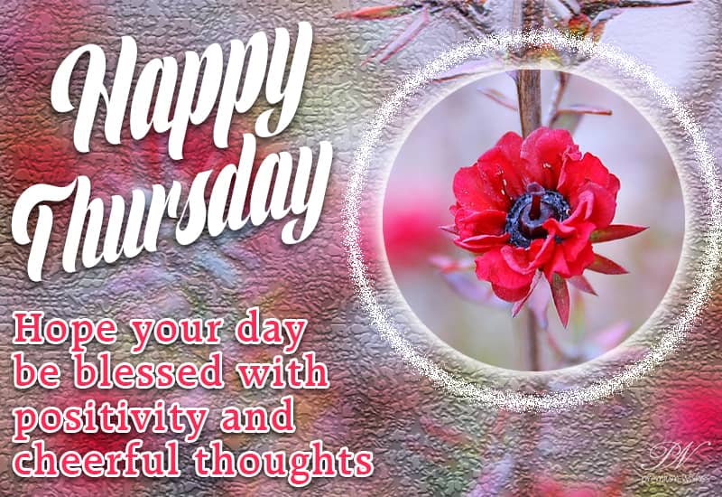 Happy Thursday - Hope your day be blessed with positivity and cheerful ...