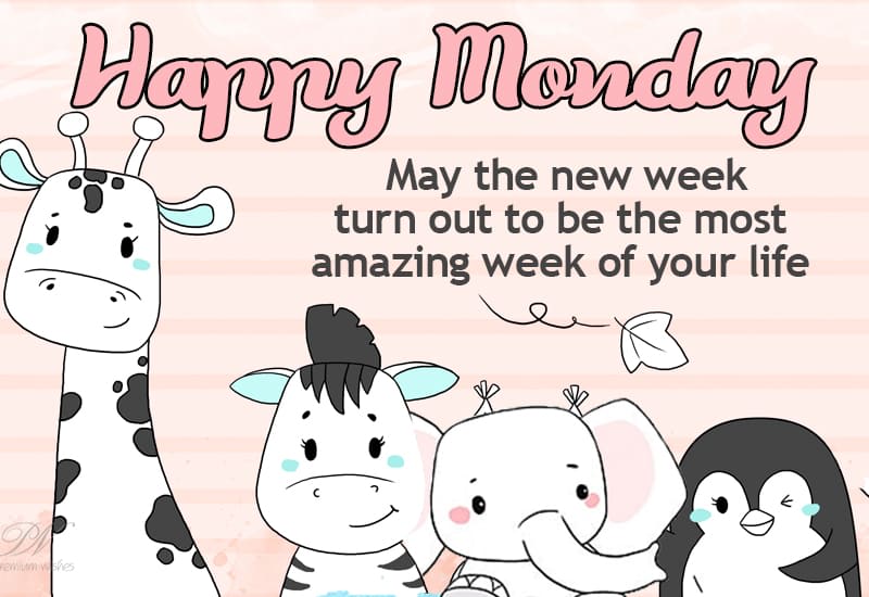 Happy Monday - May the new week turn out to be the most amazing week of ...