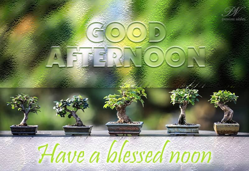 Have a blessed and happy noon friends - Good Afternoon - Premium Wishes