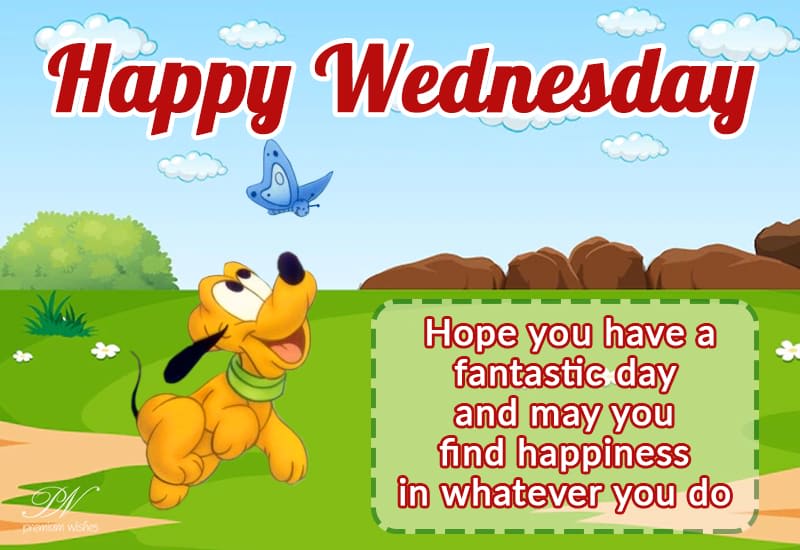 Happy Wednesday - Hope you have a fantastic day and may you find ...