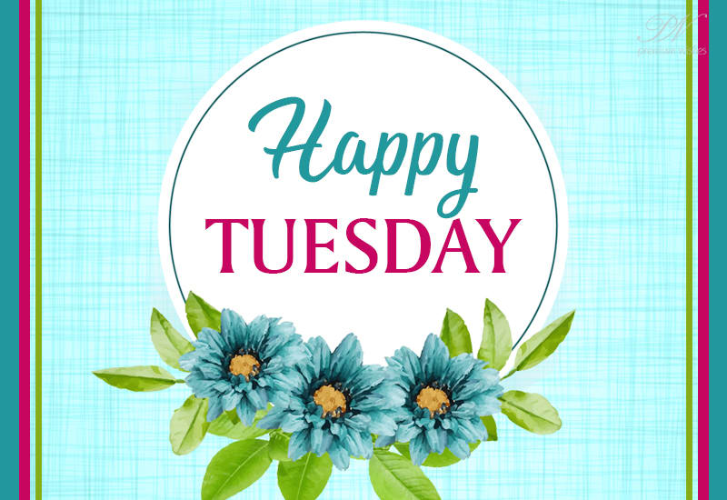 Happy Tuesday Friends - Hope you have a safe day - Premium Wishes