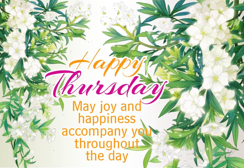Happy Thursday - May joy and happiness accompany you throughout the day ...