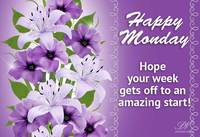 Happy Monday - Hope your work gets off to an amazing start - Premium Wishes