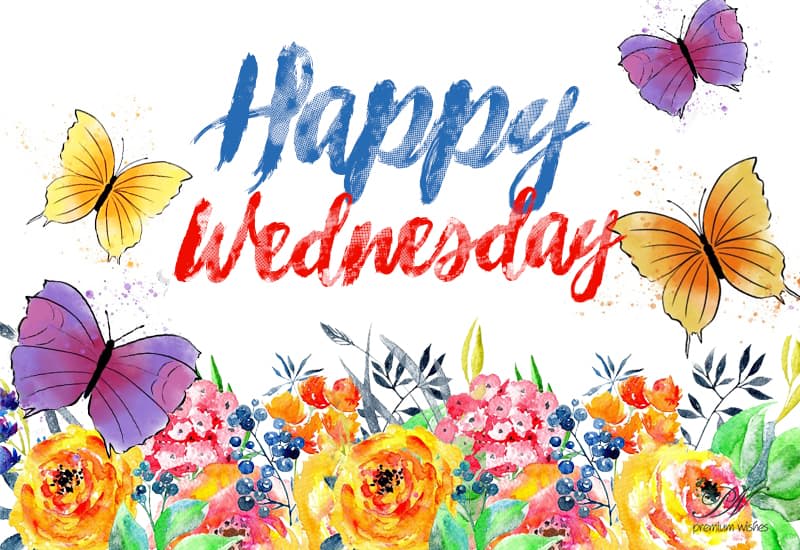 Happy Wednesday - Remain happy and playful - Premium Wishes
