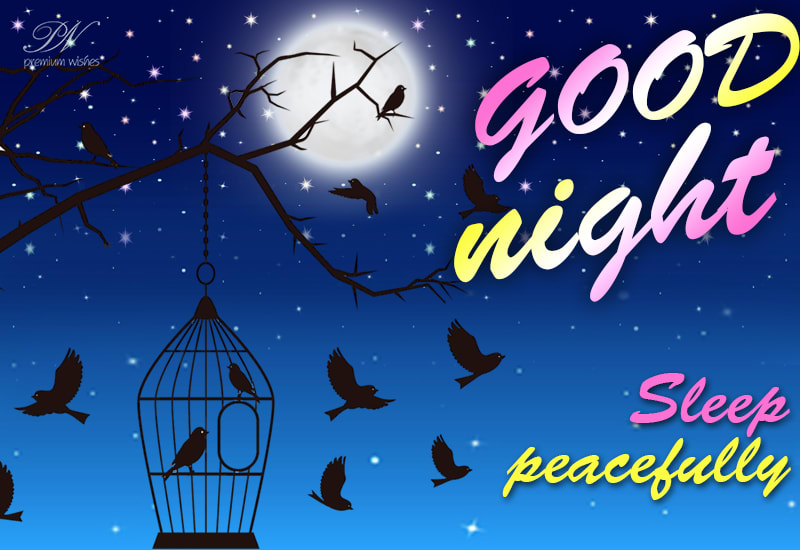 Good Night - Sleep Peacefully - Premium Wishes