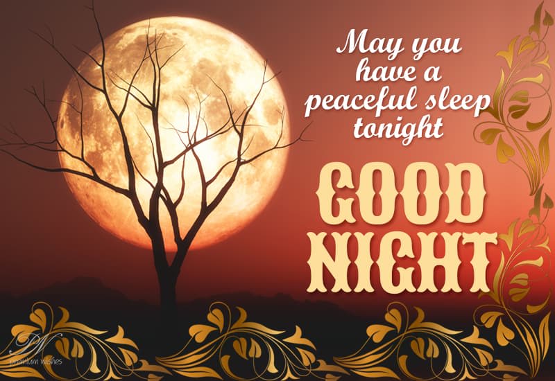 May you have a peaceful sleep tonight - Good Night - Premium Wishes