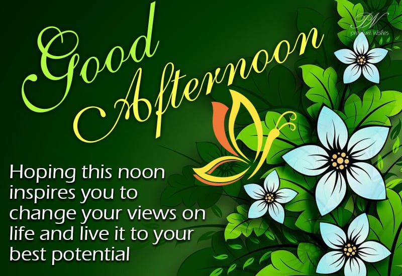 Wishing you a blessed noon - Good Afternoon - Premium Wishes