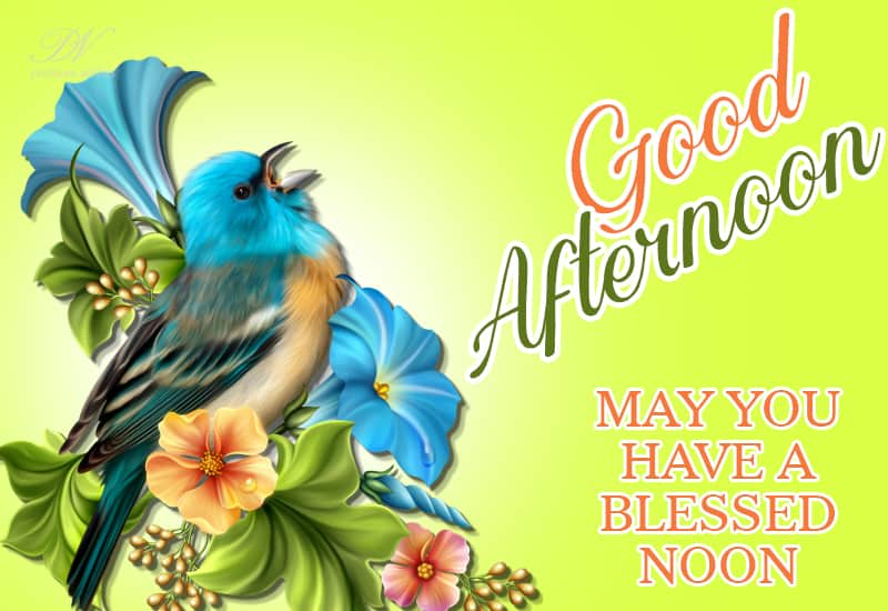 Friends Good Afternoon - May you have a blessed noon - Premium Wishes