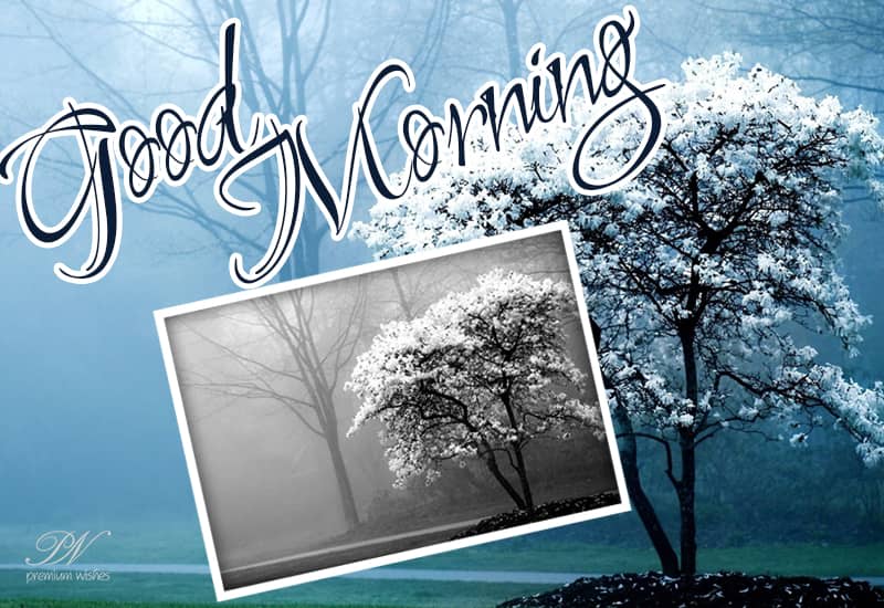 Good morning - Enjoy the early morning sun - Premium Wishes