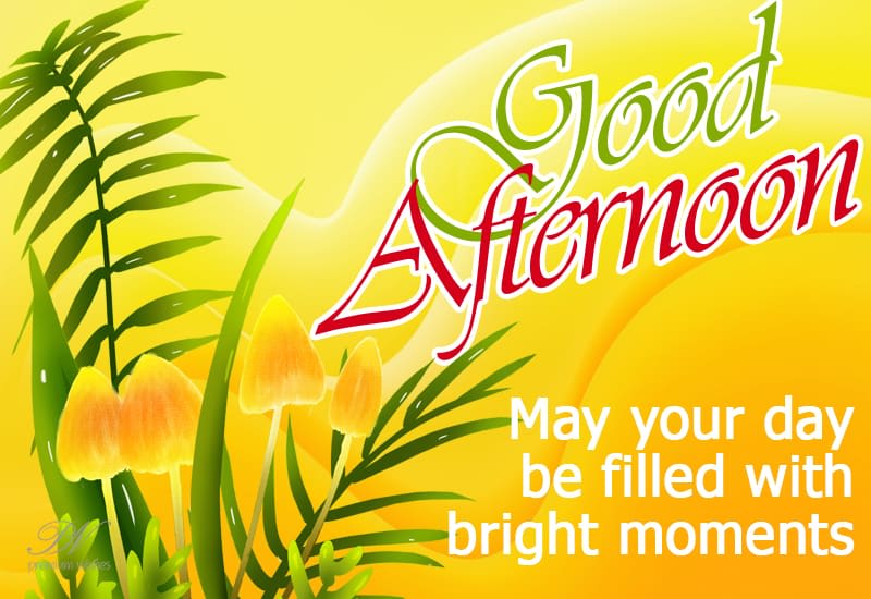 Happy Tuesday - Slow down and enjoy life - Premium Wishes