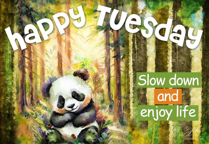 Happy Tuesday - Slow down and enjoy life - Premium Wishes