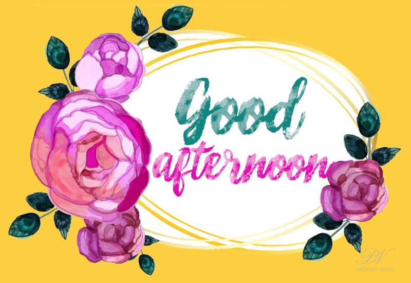 Good Afternoon - Wish it with roses - Premium Wishes