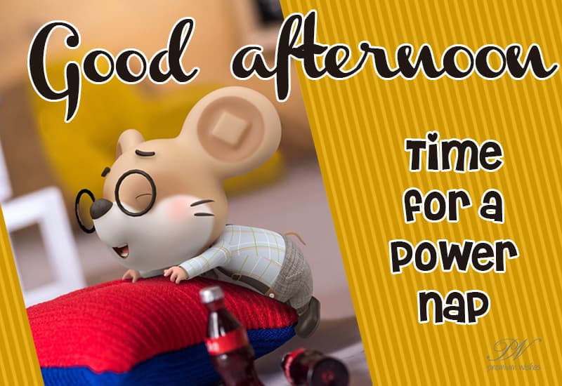 Good Afternoon Time for a power nap - Premium Wishes