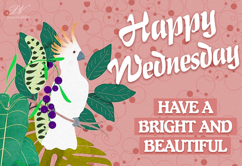 Happy Wednesday - Have a bright and beautiful day - Premium Wishes
