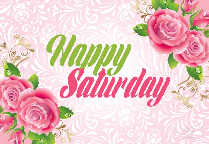 Happy Saturday Friends Enjoy - Premium Wishes