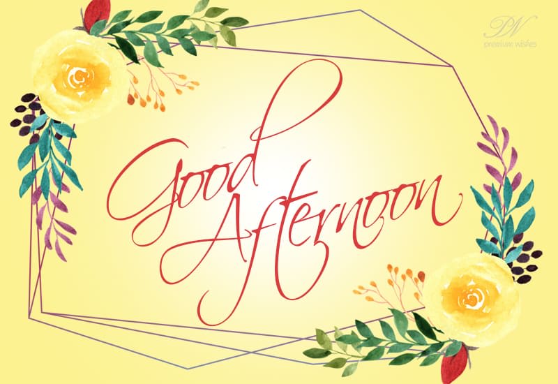 Good Afternoon Wishes - Premium Wishes