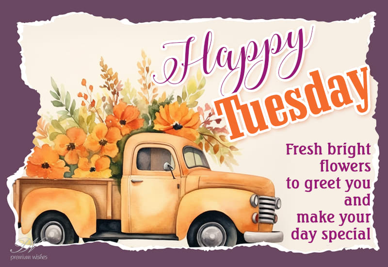 Happy Tuesday - Fresh bright flowers to greet you and make your day ...