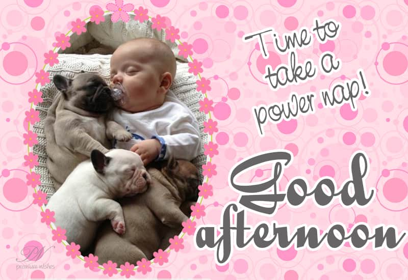 Time to go to bed - Good Night - Sleep Well - Premium Wishes