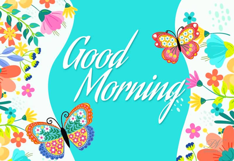 Good Morning - Enjoy The Morning Colours - Premium Wishes