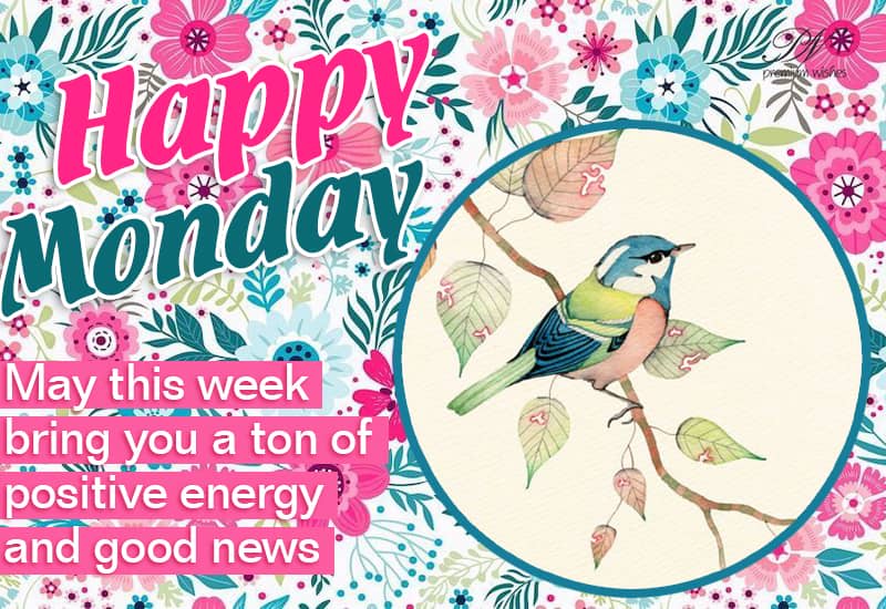 Good Morning - Rise and Shine - Time for your morning workout - Premium ...