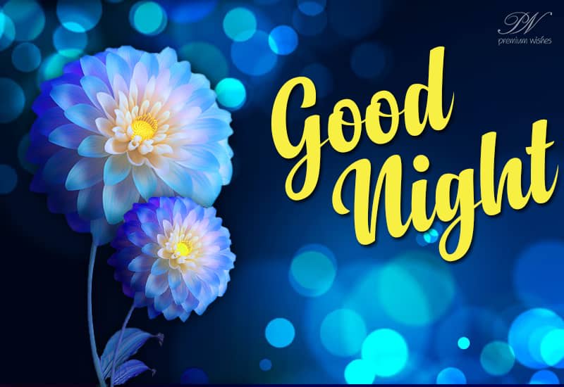Good Night - enjoy the mesmerizing night ahead friends - Premium Wishes