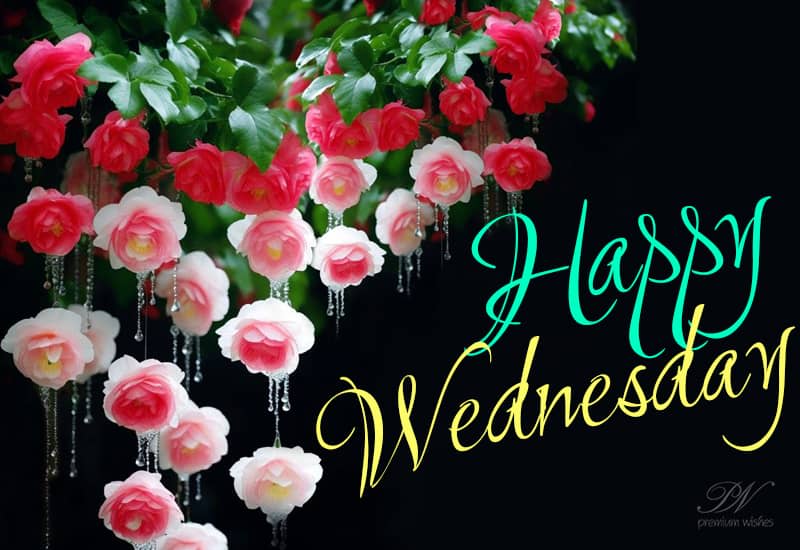 Wishing you an enchanting Wednesday - Good Morning - Premium Wishes