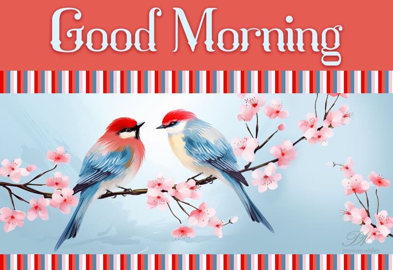 Good morning, buddy! May joy and blessings surround you throughout the ...