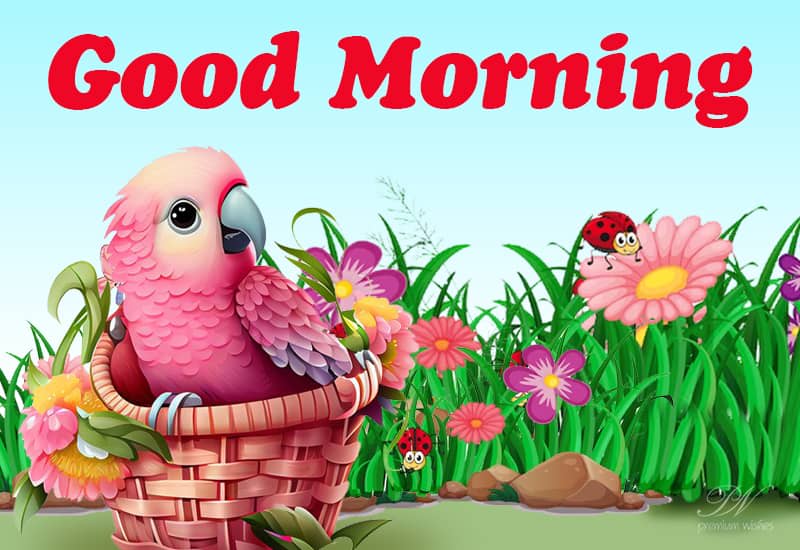 Simply Good Morning - Page 14 of 99 - Premium Wishes