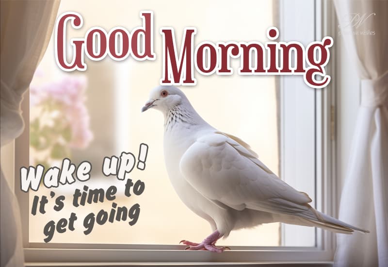 Simply Good Morning – Page 4 – Premium Wishes