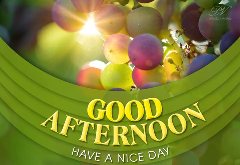 Happy Thursday – Stay Warm – Premium Wishes